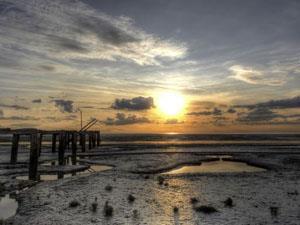 RSPB Snettisham Nature Reserve – Visit West Norfolk