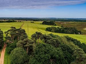 NWT Roydon Common – Visit West Norfolk