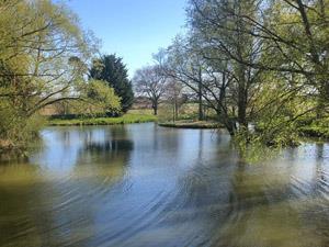 Manor Farm Fishing Lake – Visit West Norfolk