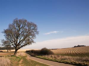 Ringstead Village – Visit West Norfolk